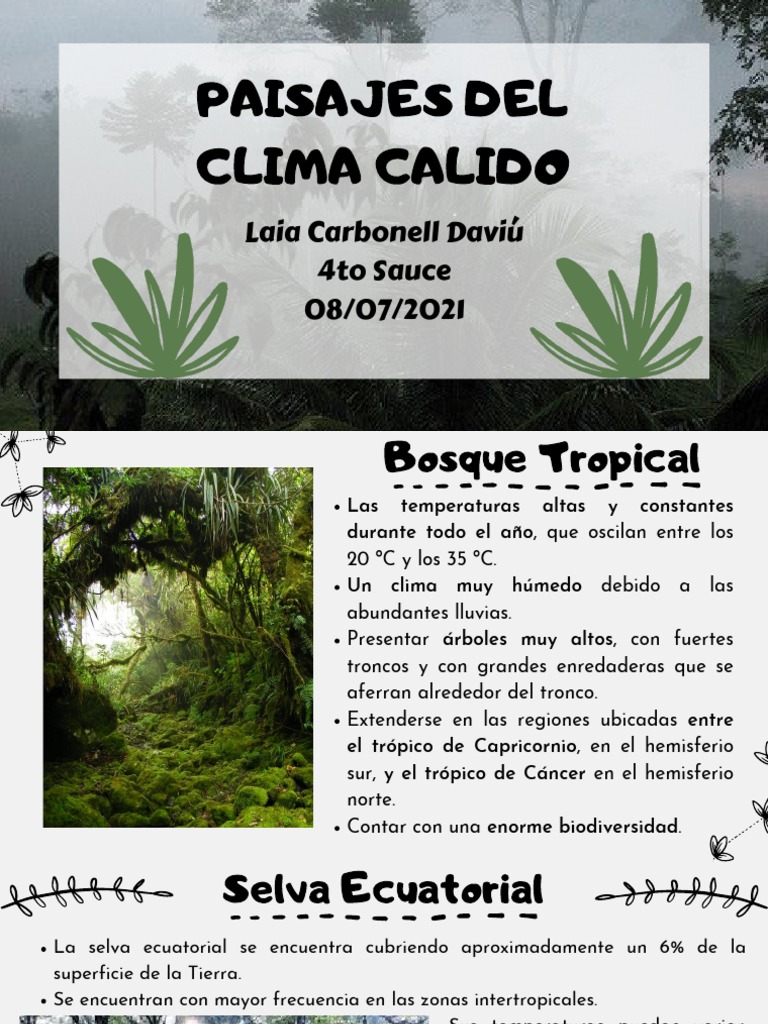 Paisajes Del Clima Calido | PDF