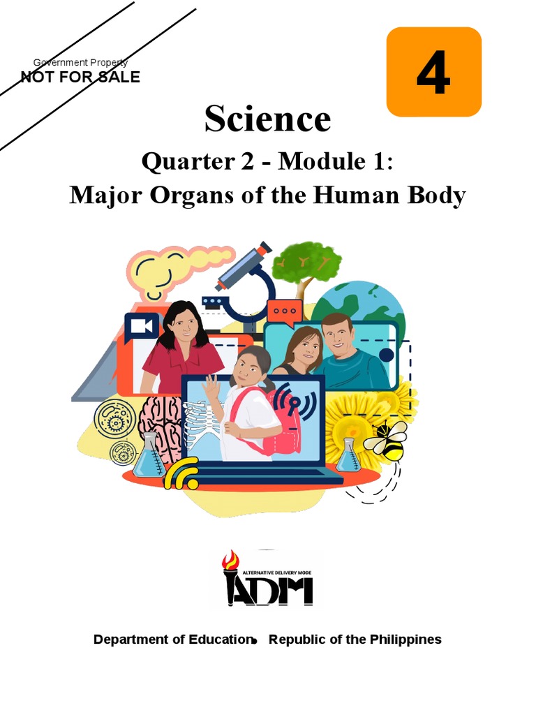 Science4 - Q2 - Mod1 - Major Organs of The Human Body - Version3 | PDF ...