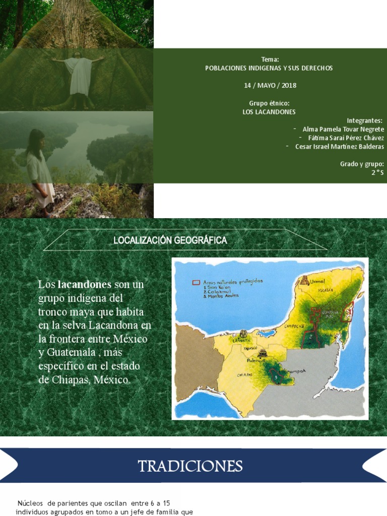Poblaciones Indigenas Lacandones | PDF | Maíz