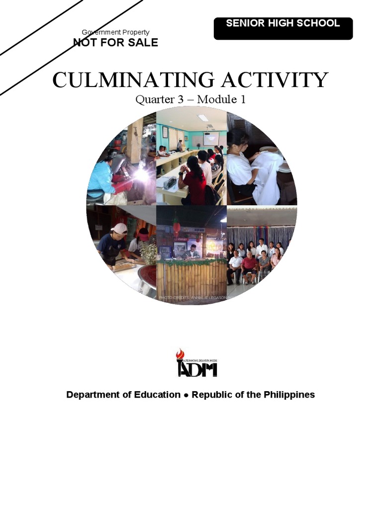 Culminating Activity Lesson 1 4 | PDF | Educational Assessment | Learning