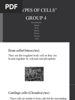 Specialised Animal Cells - Living Organisms - KS3 Biology - BBC ...