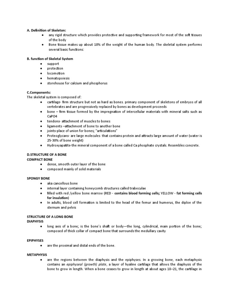 Skeletal System | PDF | Bone | Anatomical Terms Of Motion