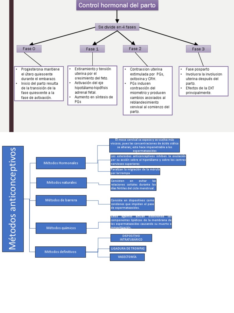 Mapas Conceptuales de Fases de Parto y Métodos Anticonceptivos | PDF ...