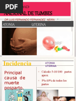 Brandt Andrews | PDF | Partería | Parto