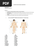 Anatomical Terminology Worksheet | PDF | Anatomical Terms Of Location ...