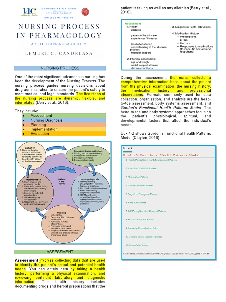 Gordon's Functional Health Patterns Model. The: Assessment Involves ...