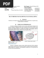 BIO1102 2023 Genap 03b LEMBAR KERJA Opera Gelembung Sabun | PDF