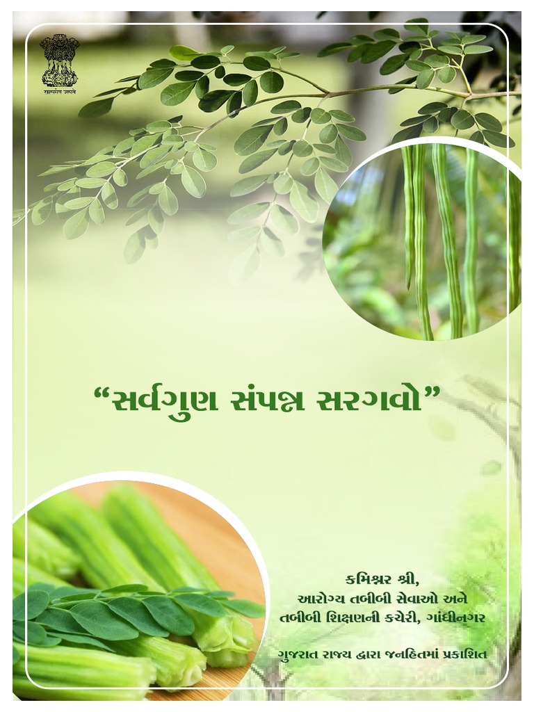 Saragvo Recipe | PDF