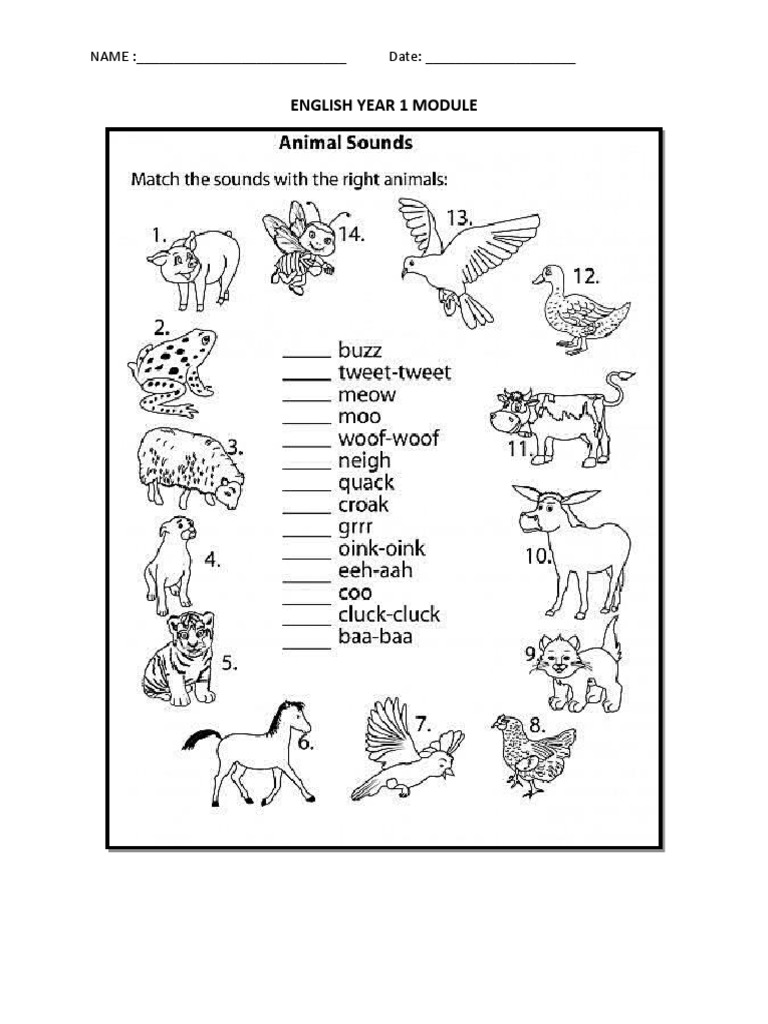 English Year 1 Module Template | PDF | Science & Mathematics