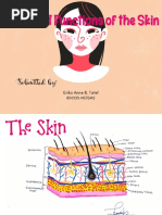 3-D Skin Model Project Guide | PDF | Skin | Anatomy