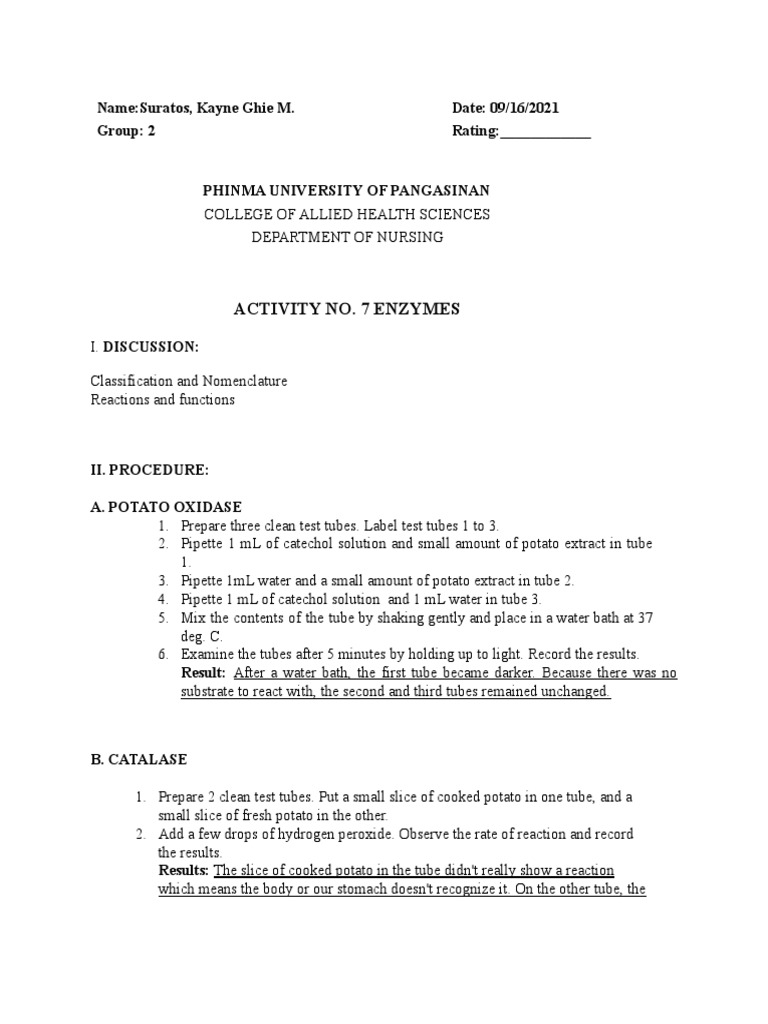 (Bio 024) Lab Activity 7 - Enzymes | PDF | Catalase | Enzyme