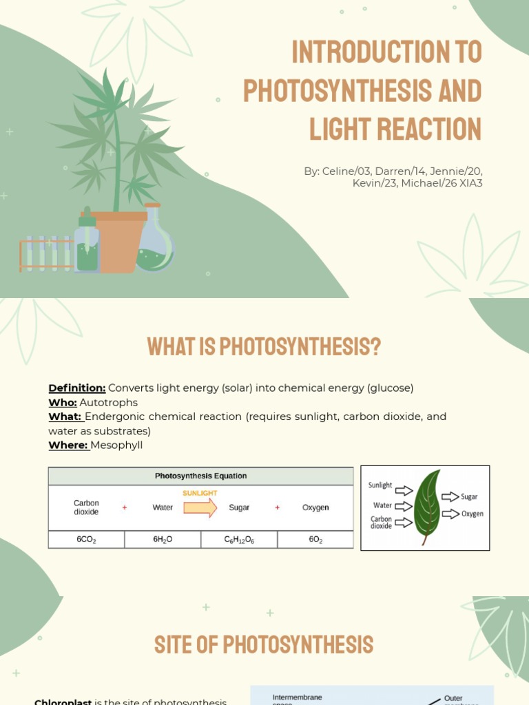 Introduction To Photosynthesis | PDF | Photosynthesis | Chemistry