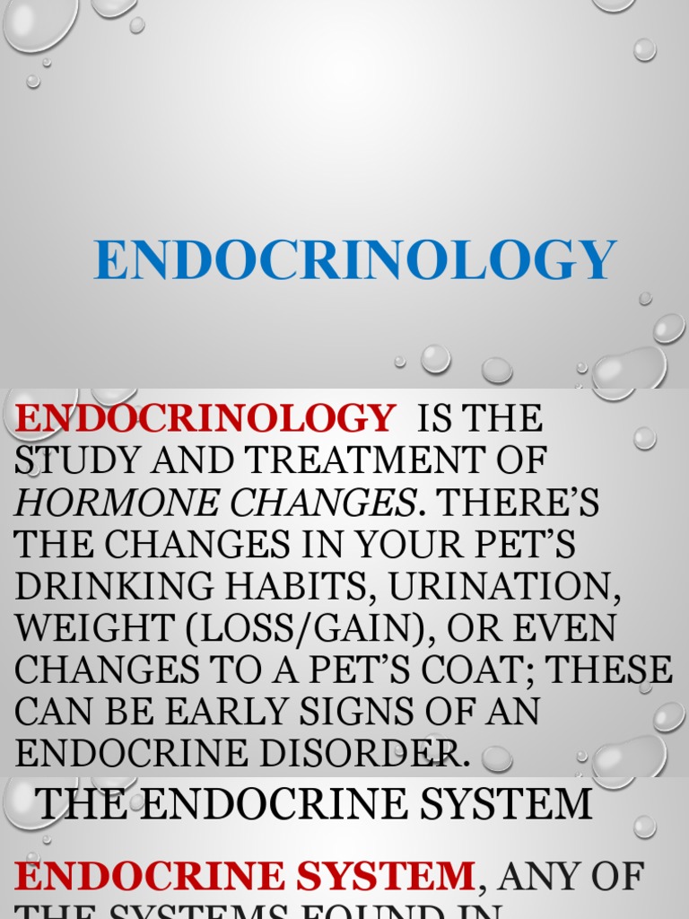 ENDOCRINOLOGY Report | PDF | Endocrine System | Hormone