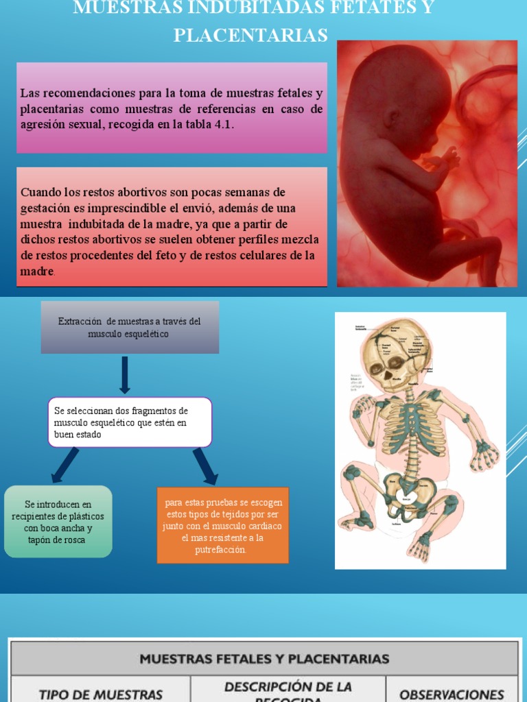 Chanto Genetica | PDF