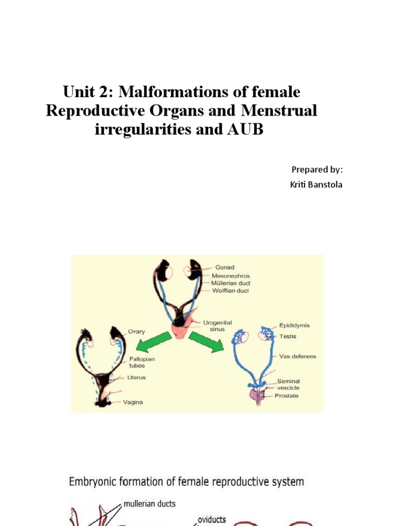 Female Reproductive Malformations Guide | PDF | Menstruation | Vagina