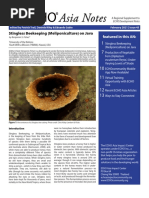 Red Hive Guide (v2.1) | PDF | Bees | Beehive