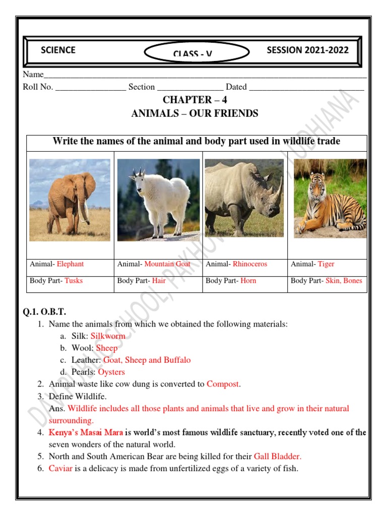 Animal Our Friends | PDF | Wildlife | Elephant