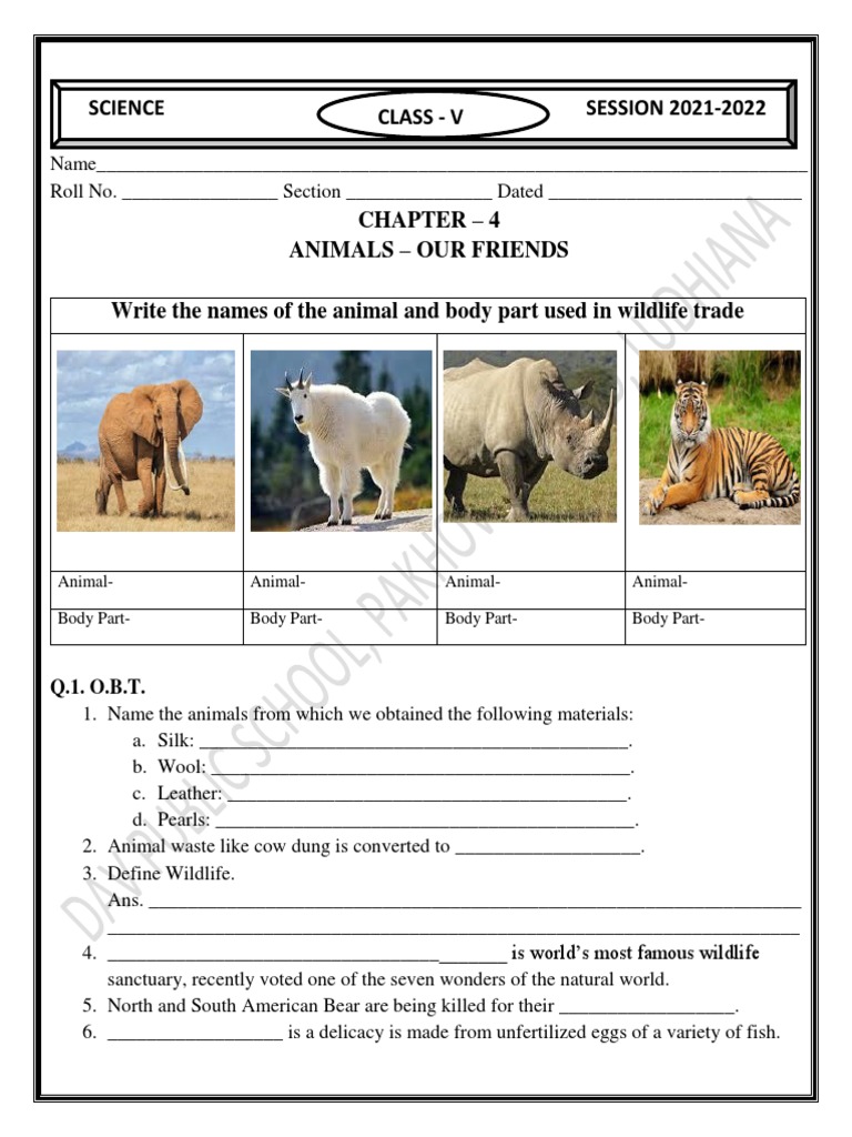 Animals Our Friends: An Assessment of Students' Knowledge of Wildlife ...