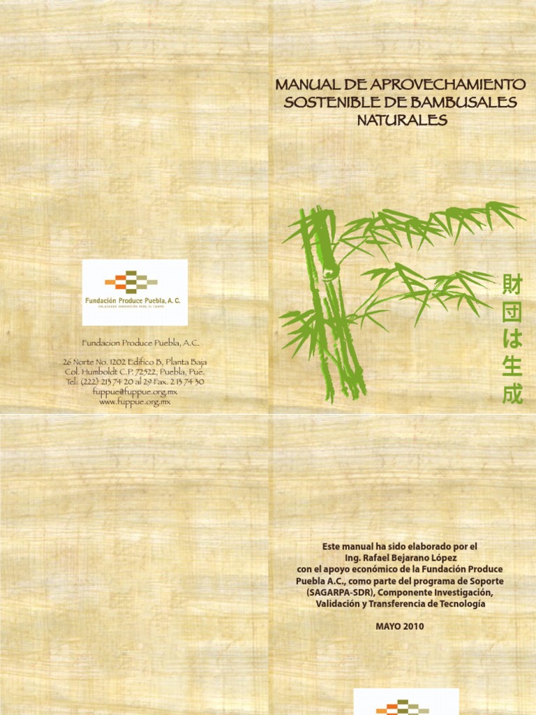 Bambu | PDF | Sustentabilidad | Ecosistema