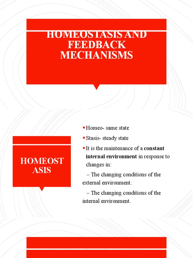 Homeostasis and Feedback Mechanisms | PDF | Homeostasis | Biology