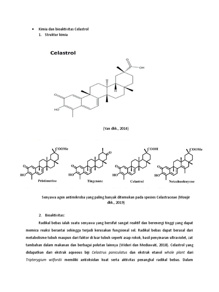 Struktur Kimia Dan Bioaktivitas Celastrol | PDF