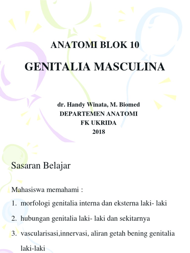 Genitalia Masculine | PDF | Kesehatan Holistik