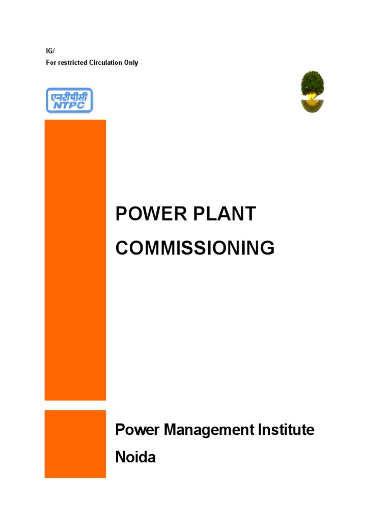 Power Plant Commissioning PDF | PDF | Home & Garden