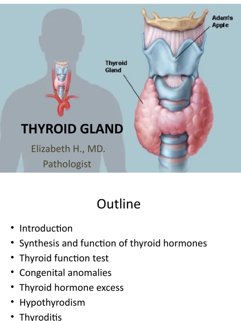 THYROID GLAND Final (Autosaved) | PDF | Thyroid | Hyperthyroidism