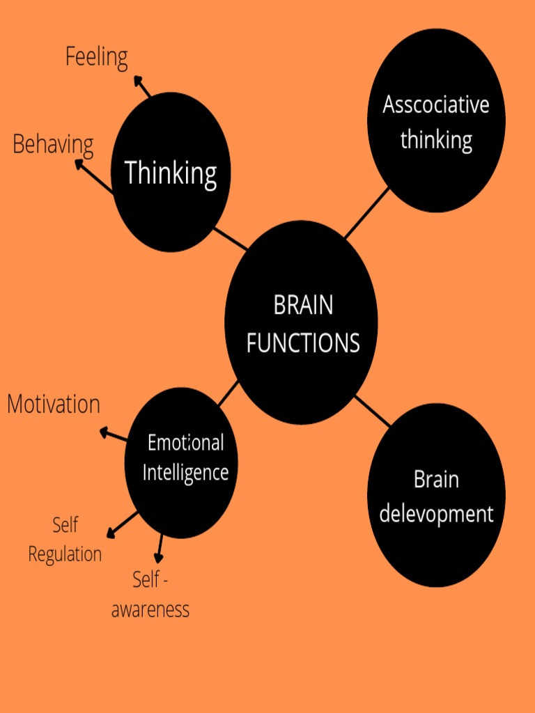Brain Functions | PDF