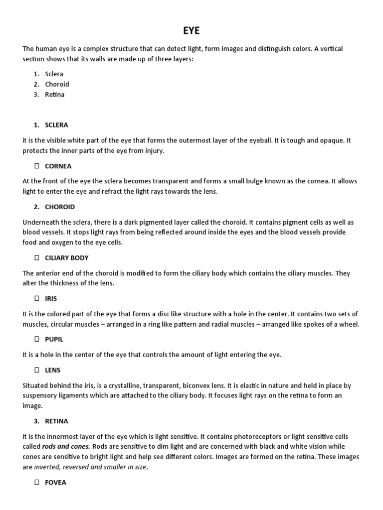 EYE Notes Igcse | PDF | Eye | Cornea
