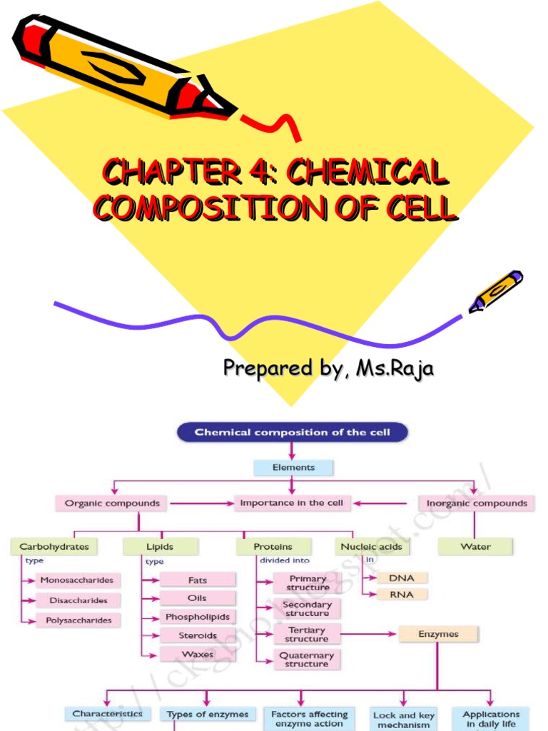 Chapter 4: Chemical Composition of Cell Chapter 4: Chemical Composition ...