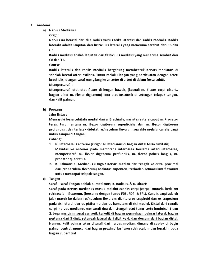 Anatomi dan Jalur Nervus Medianus | PDF