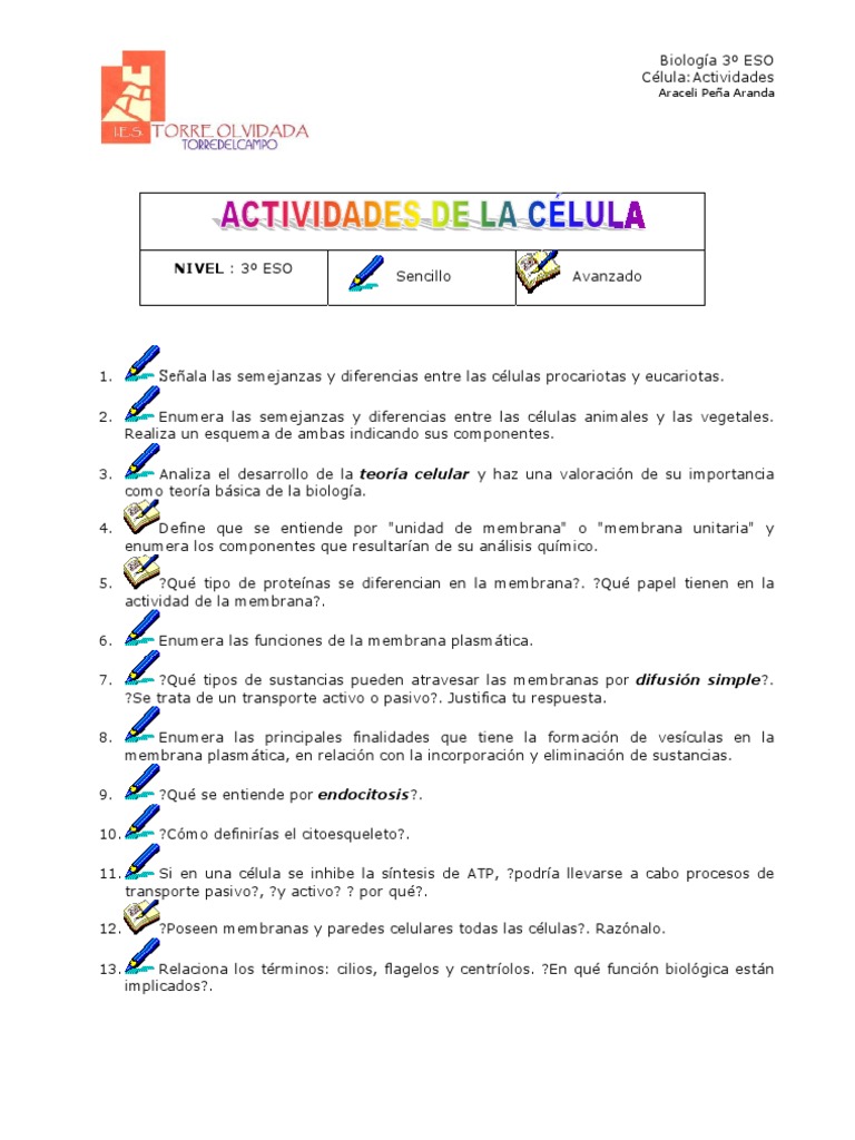 Actividades de Biología: Células 3º ESO | PDF | Biología Celular ...