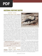 Angelic Human 12-Tribes and Indigo Maji Grail Lines Summary1 | PDF