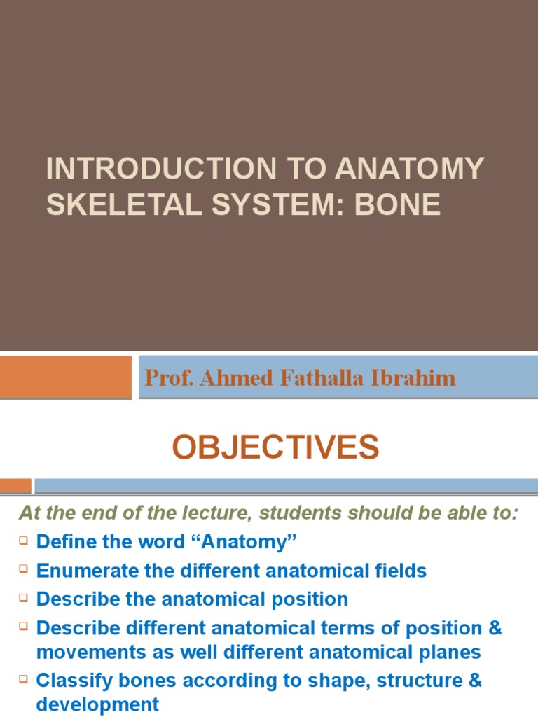 1 - Anatomical Terms & Skeletal System | PDF | Anatomical Terms Of ...