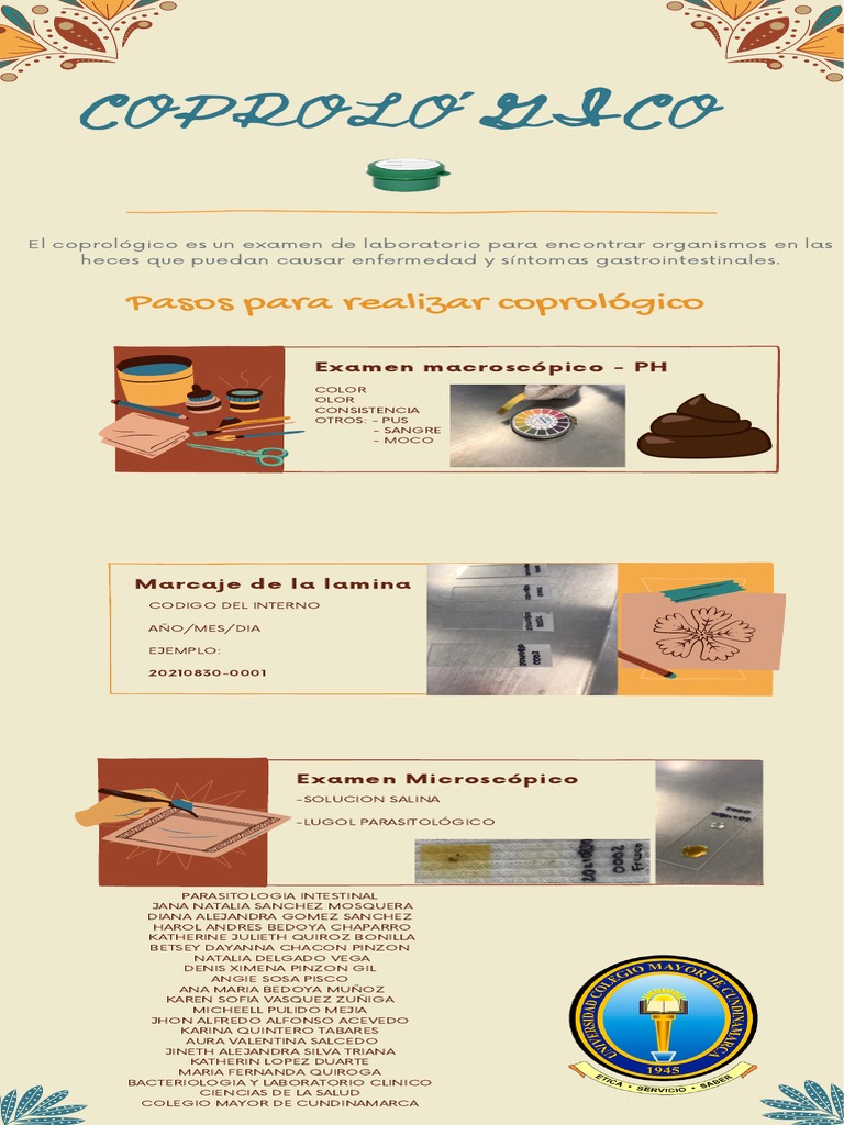 Coprologico & Coproscopico | PDF | Especialidades Medicas | Fluidos ...