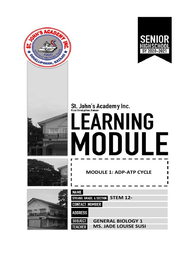 ATP-ADP Cycle: Energy in Cells | PDF | Adenosine Diphosphate | Body ...