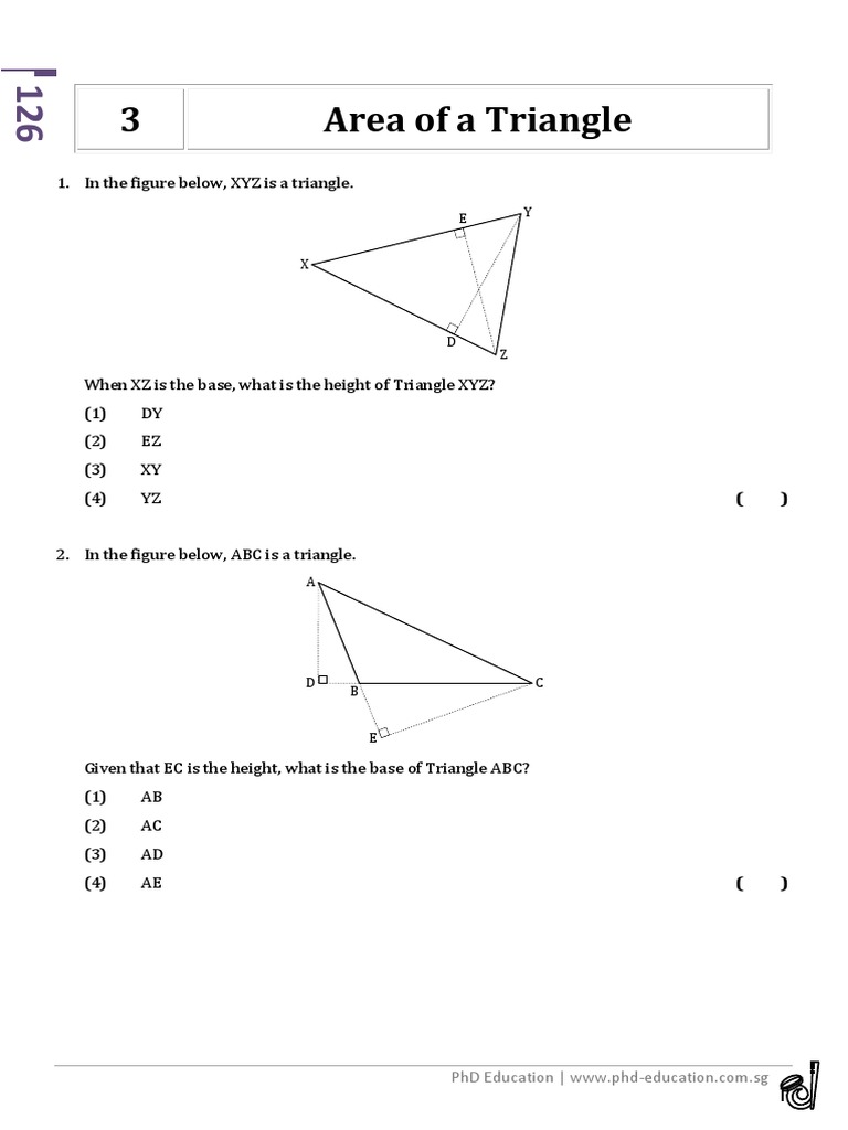 P5 Mathematics Exam Package Sample File | PDF | Area | Rectangle