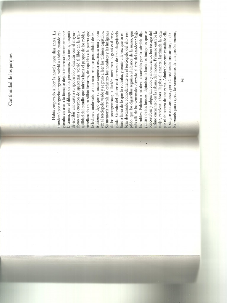Cortázar, Julio - Continuidad de Los Parques | PDF