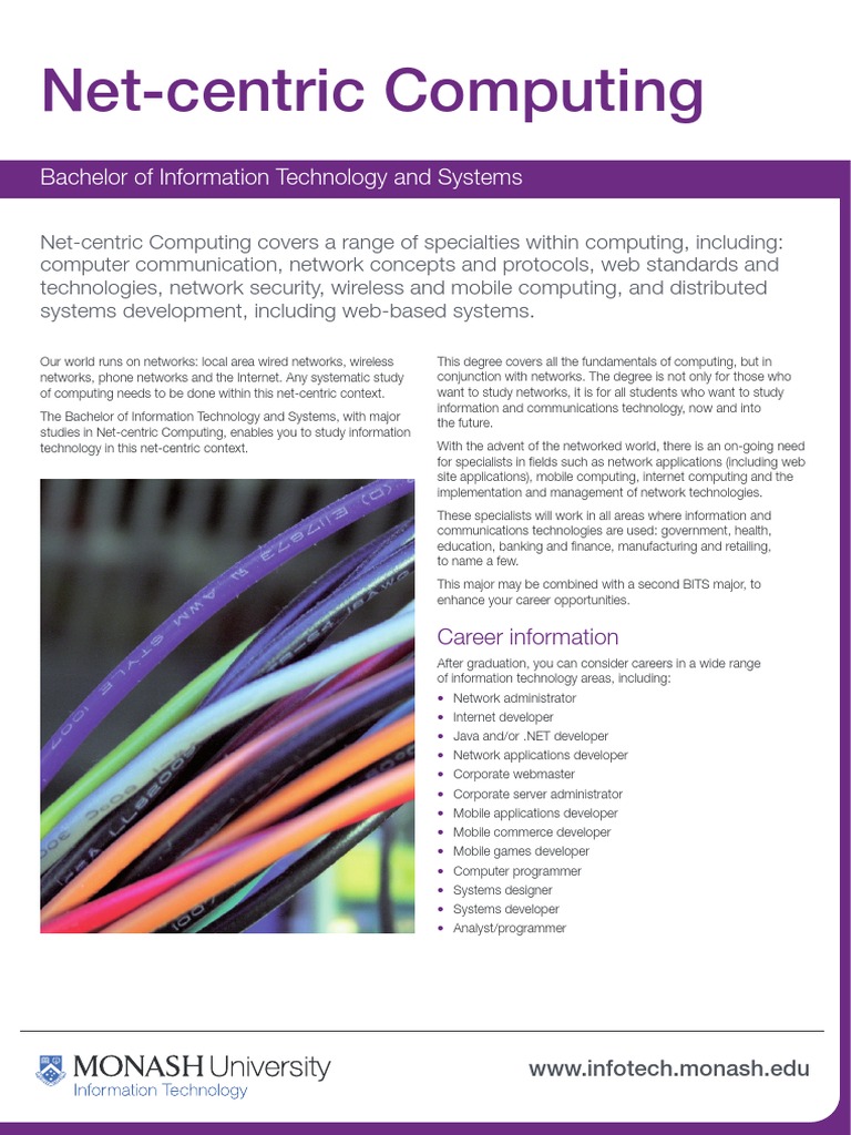 Net Centric Computing The Future Of Computers And Networking Pdf Computer Network Computing 2209
