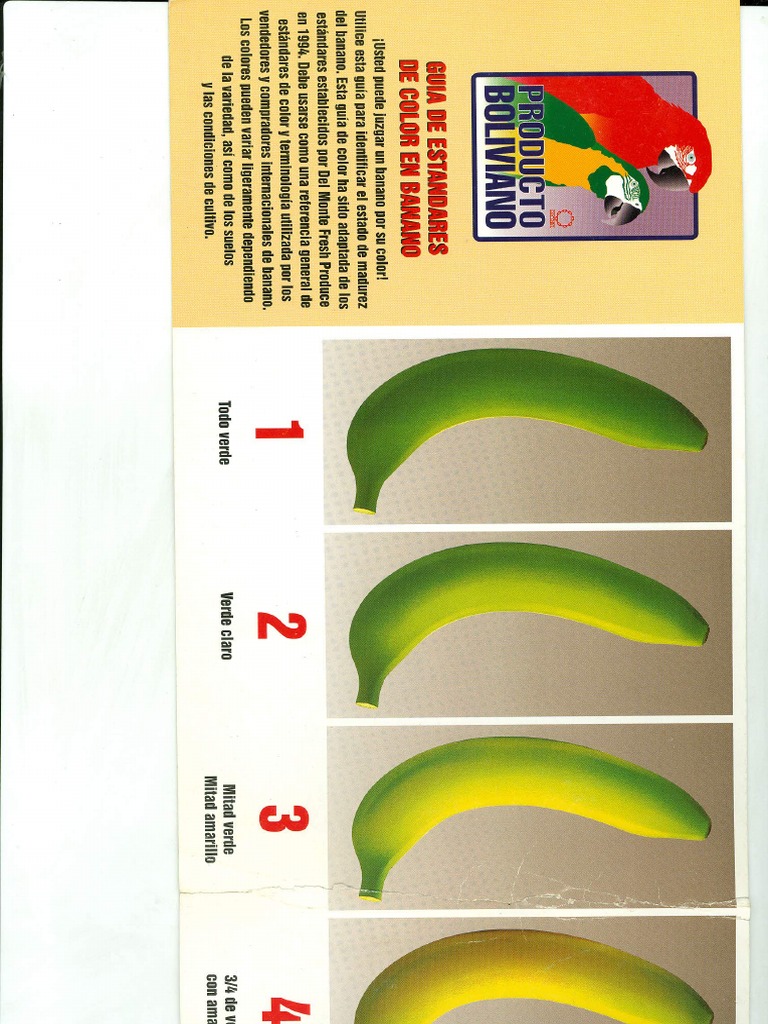 Escala de Colores Banana | PDF
