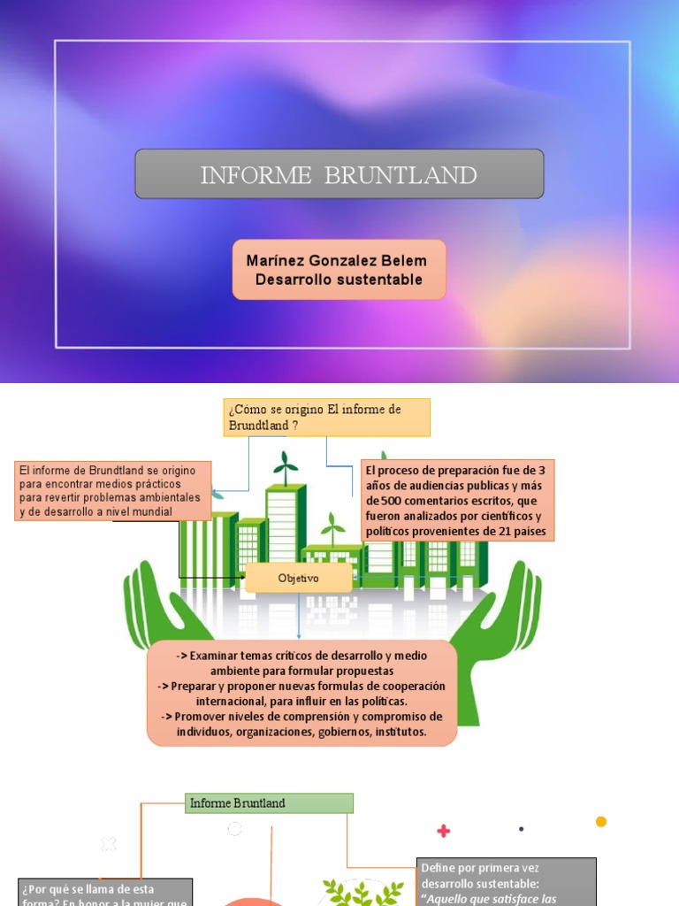 Informe Bruntland | PDF | Desarrollo sostenible | Entorno natural