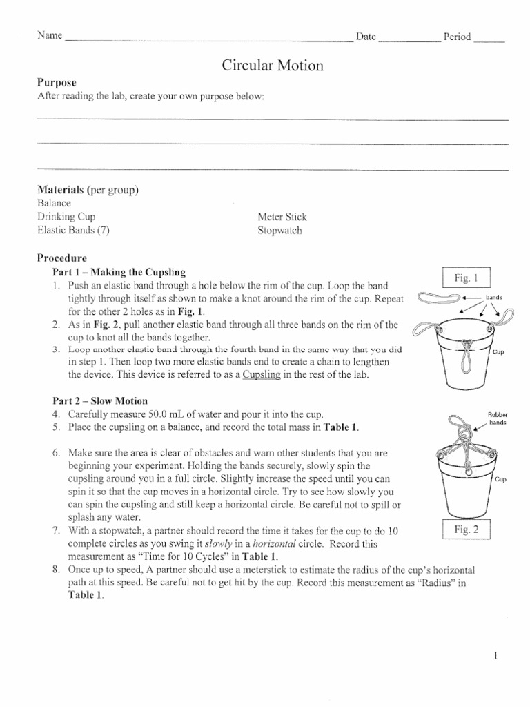 Circular Motion Lab | PDF