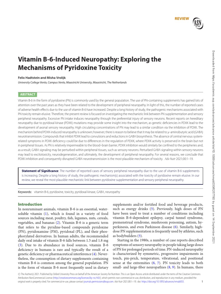 Vitamin B-6-Induced Neuropathy: Exploring The Mechanisms of Pyridoxine ...