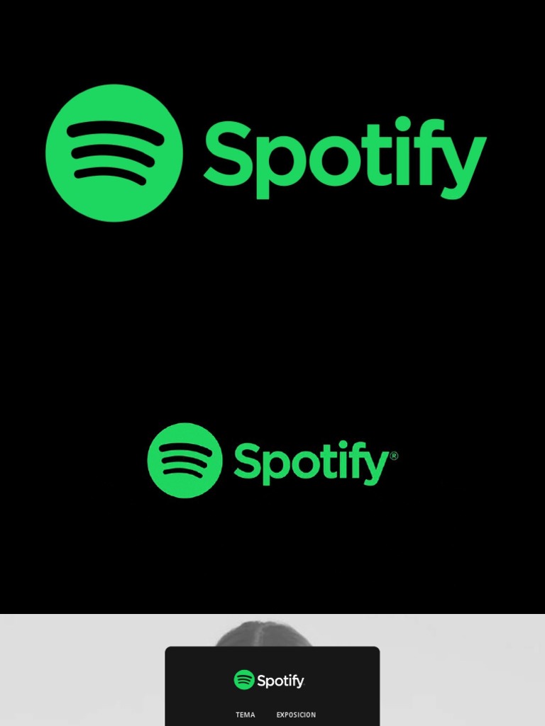 SPOTIFY | PDF