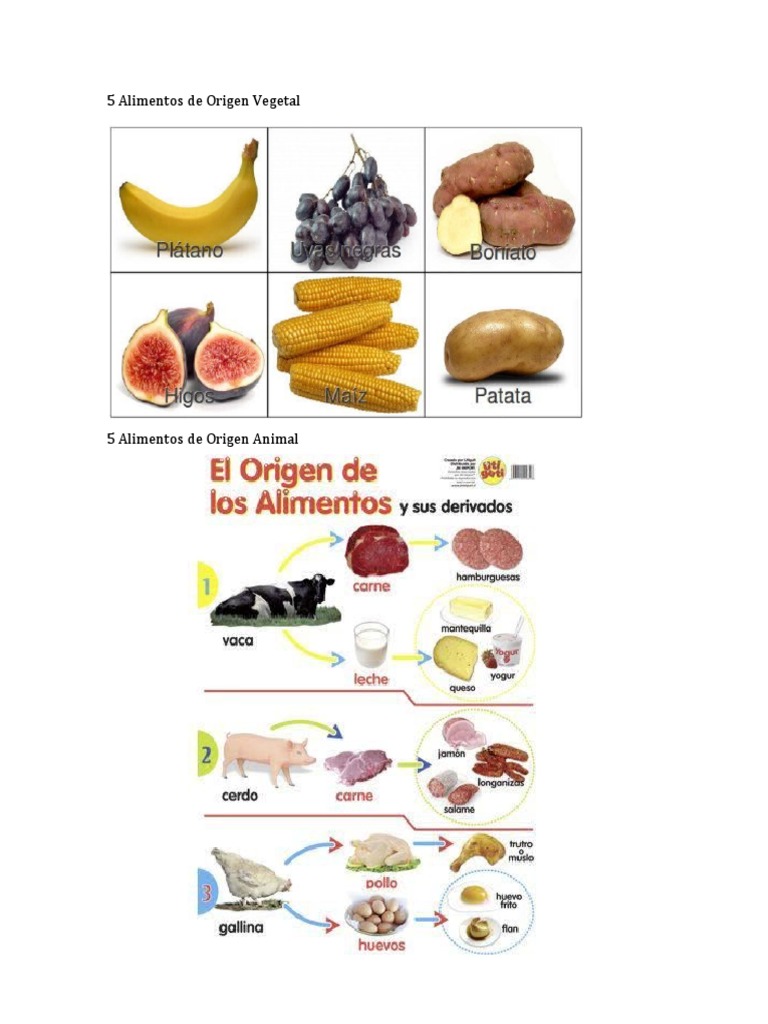 Alimentos de Origen Vegetal - Animal - Mineral - 2021 | PDF