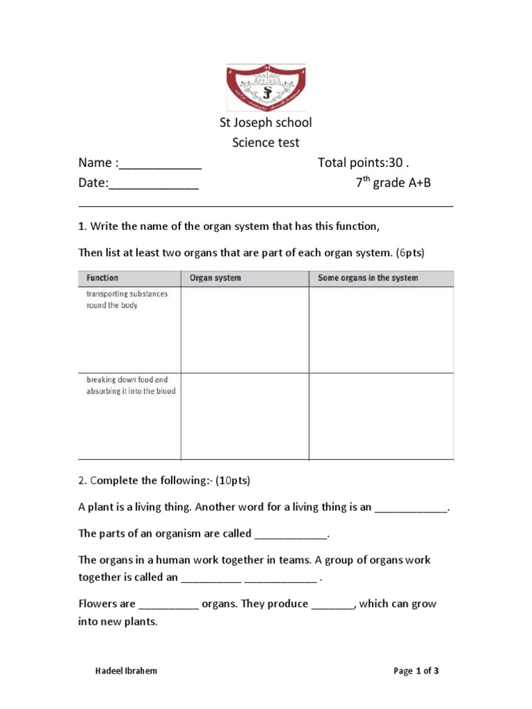 The Digestive System 7th Grade | PDF