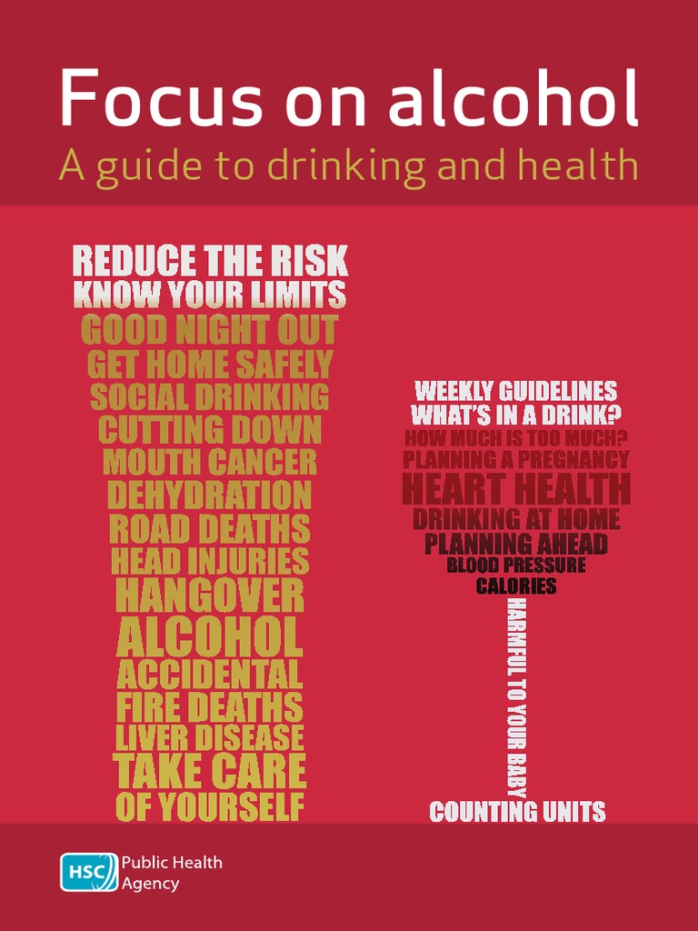 Focus On Alcohol: A Guide To Drinking and Health | PDF | Alcoholic ...