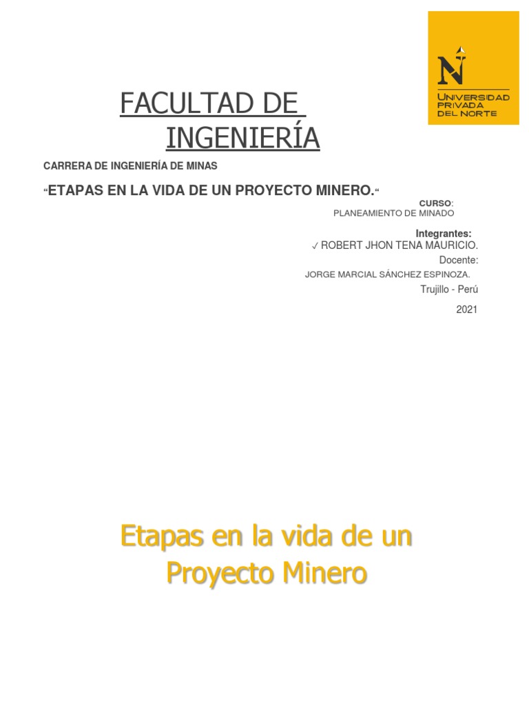 Semana02 - Robert Tena Etapas en La Vida de Un Proyecto Minero | PDF ...