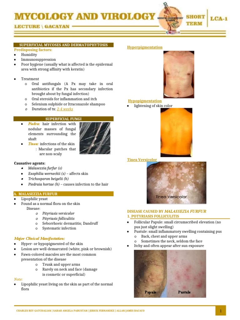 Superficial Mycoses: Causes, Symptoms and Treatment | PDF | Diseases ...